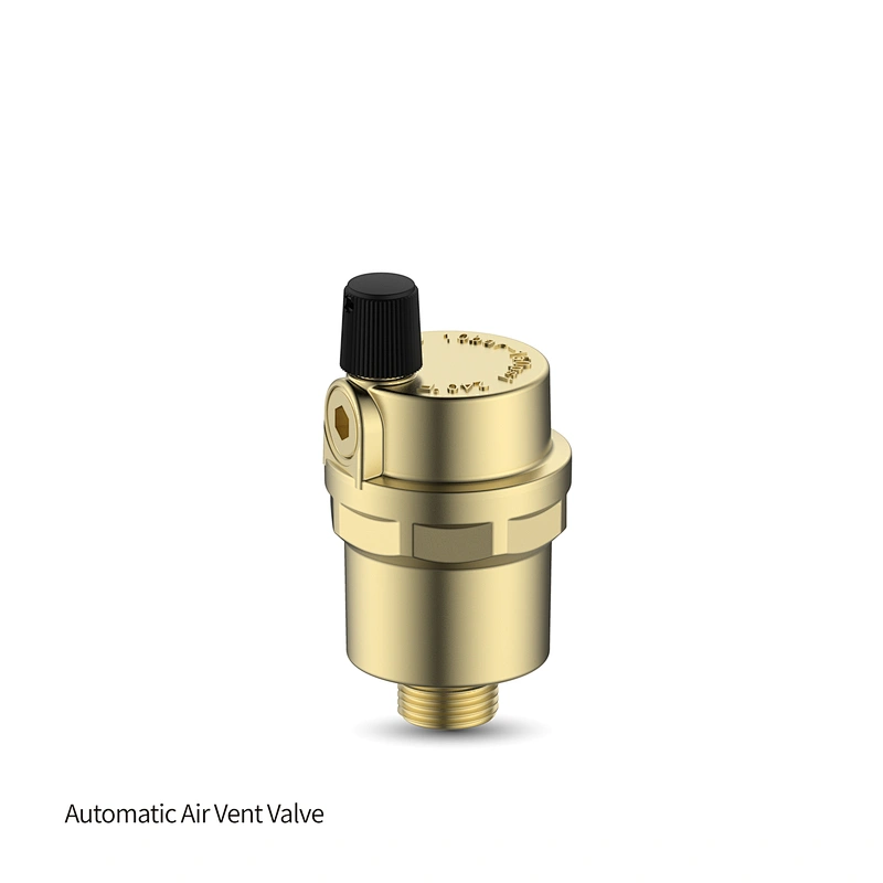 Automatic air vent Valve
